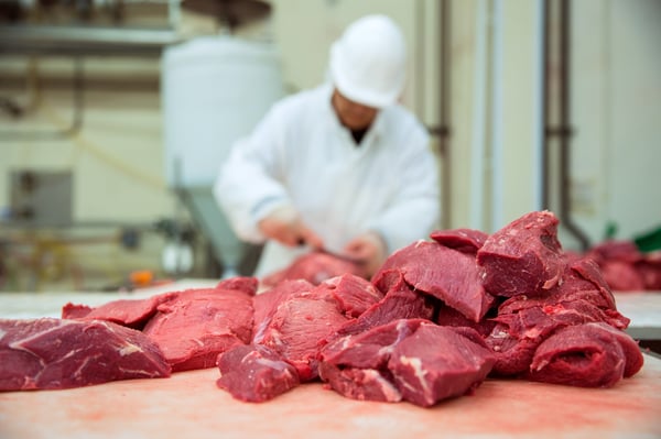 Maximizing Quality Control for Meat with Fat Analysis X-Ray Systems